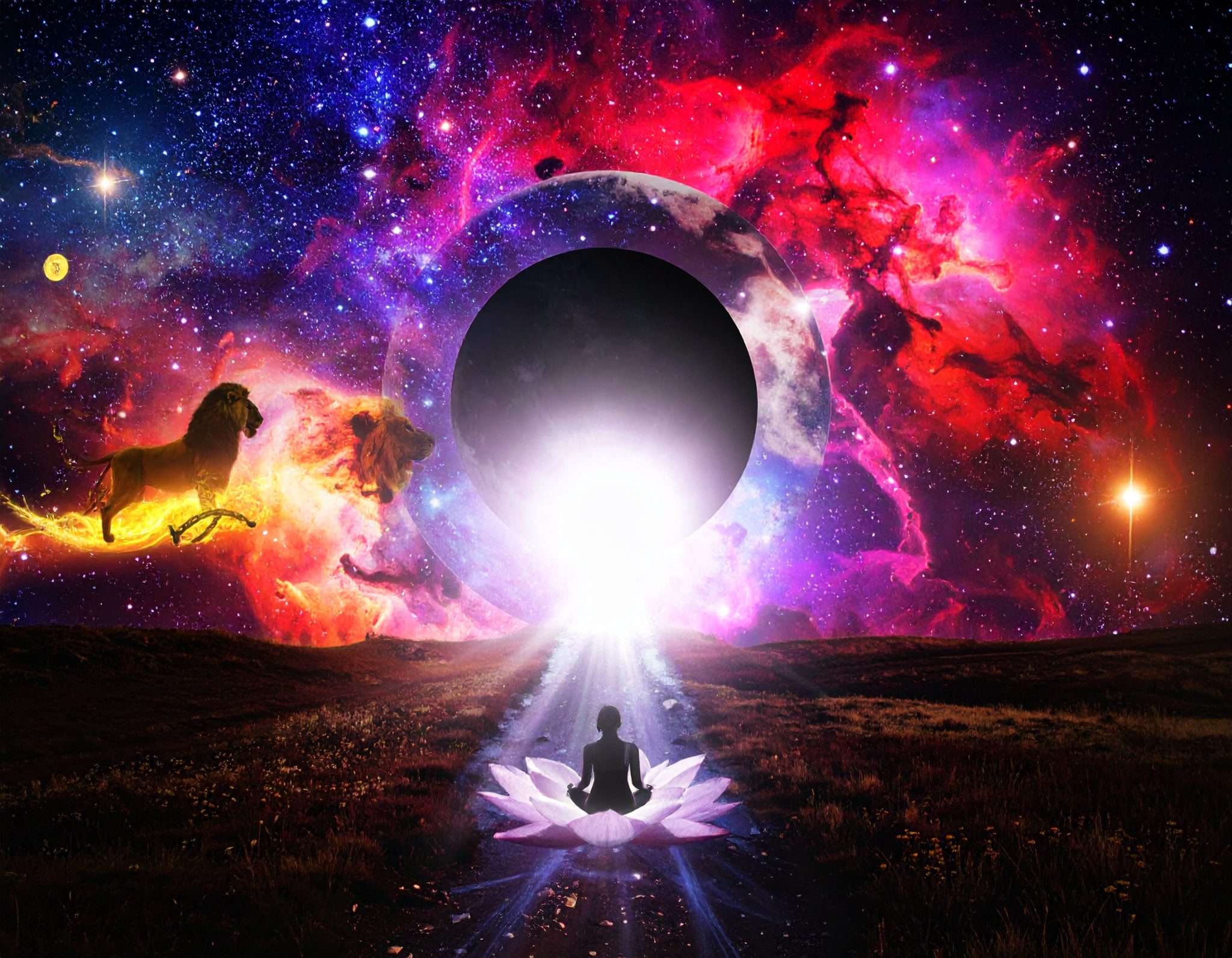 S25: Activate & Align - Alison Kay - Life Reawakened